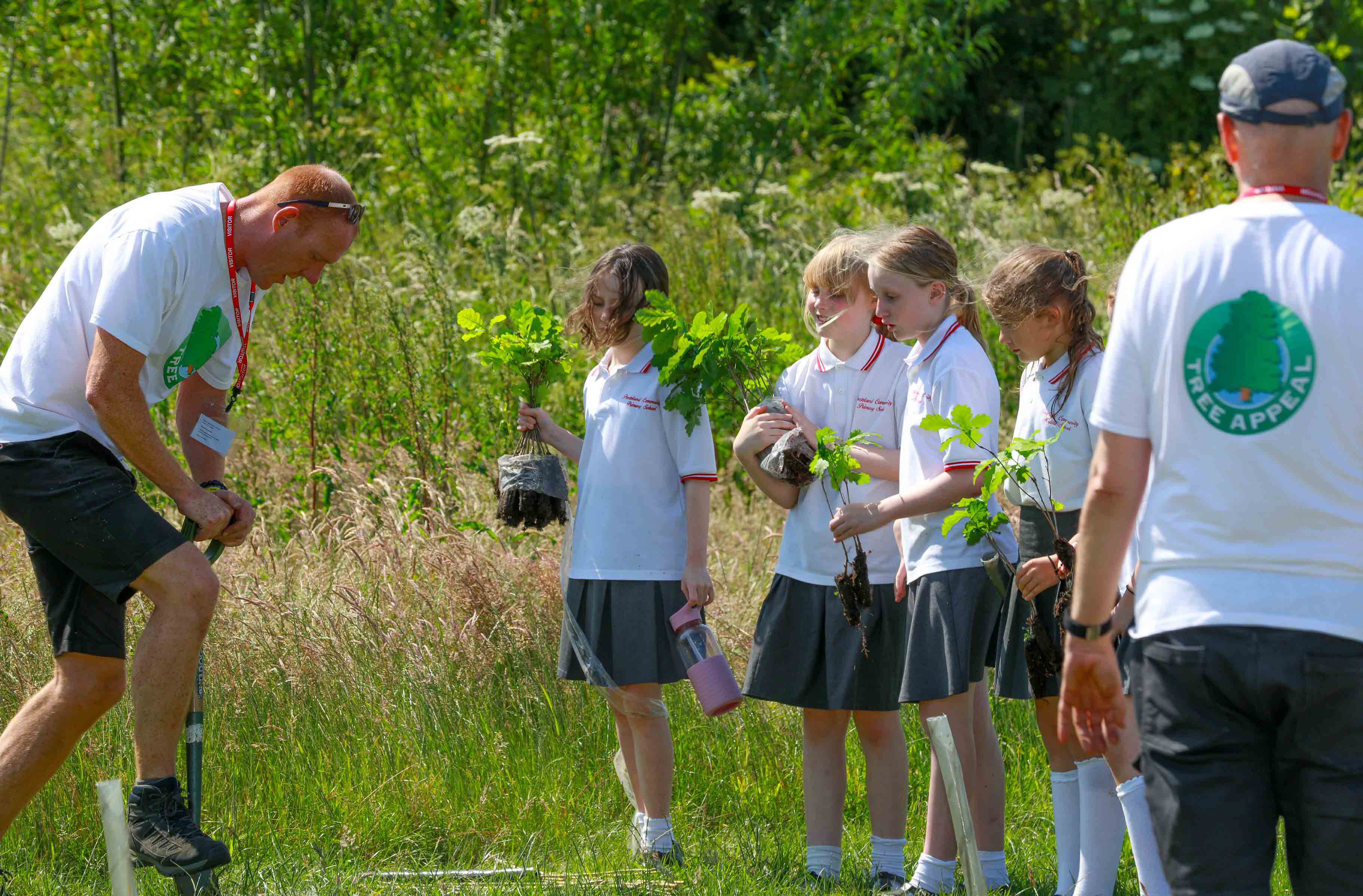 Tree Appeal - planting sponsored trees in UK schools
